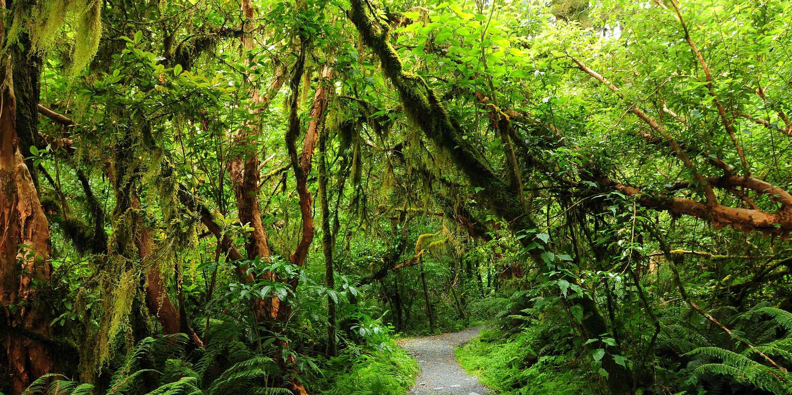 Routeburn Track, Queenstown - Book Tickets & Tours | GetYourGuide