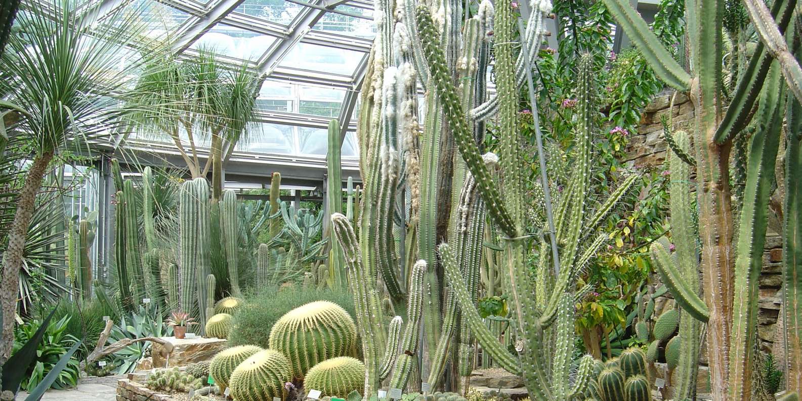 The BEST Berlin-Dahlem Botanical Garden and Botanical Museum Outdoor ...