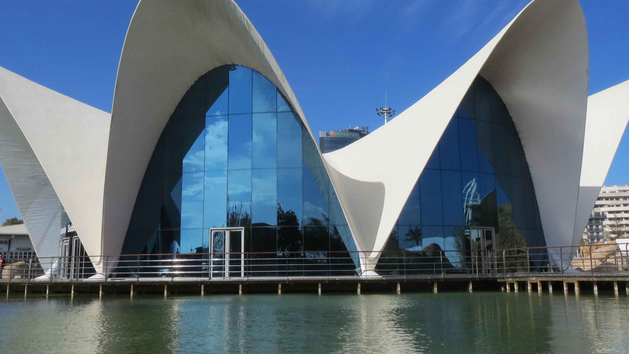 Oceanografic, Valencia - Book Tickets & Tours | GetYourGuide.com
