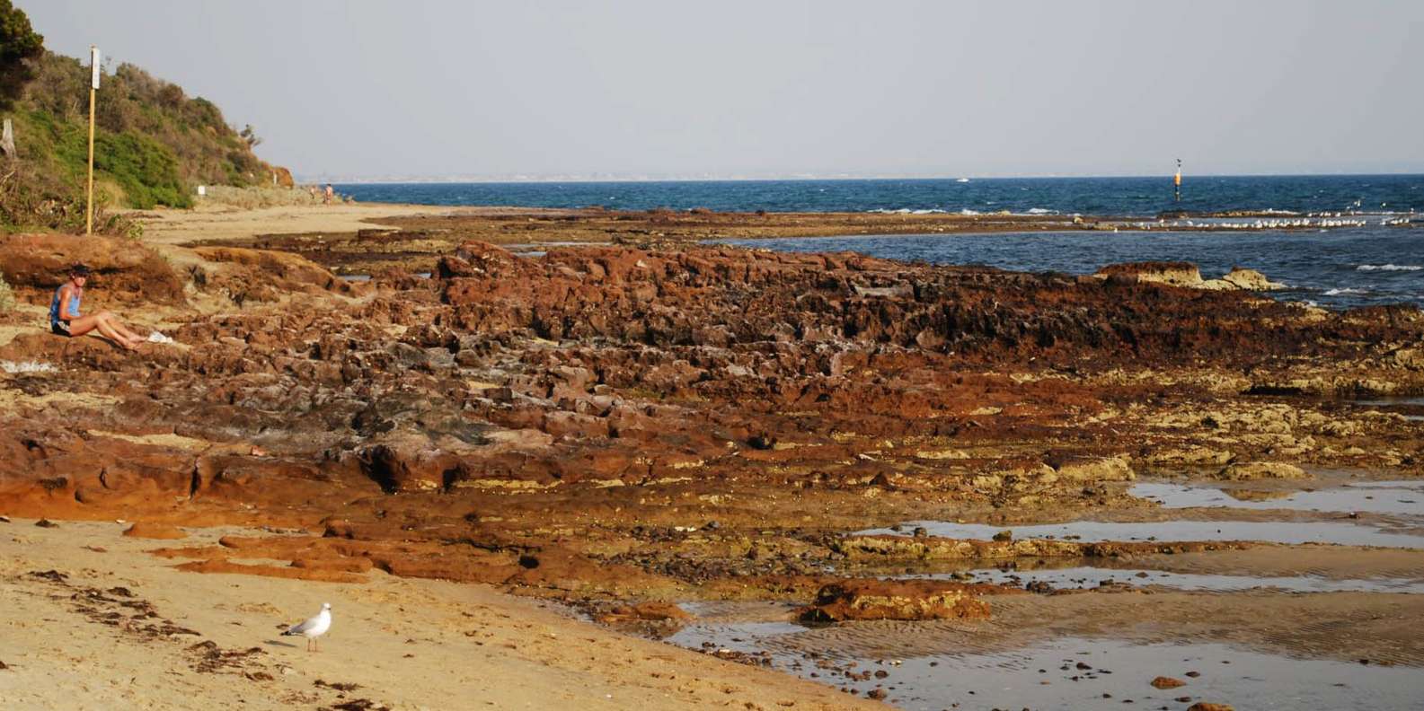 Ricketts Point Marine Sanctuary Luoghi d'interesse e monumenti: il ...