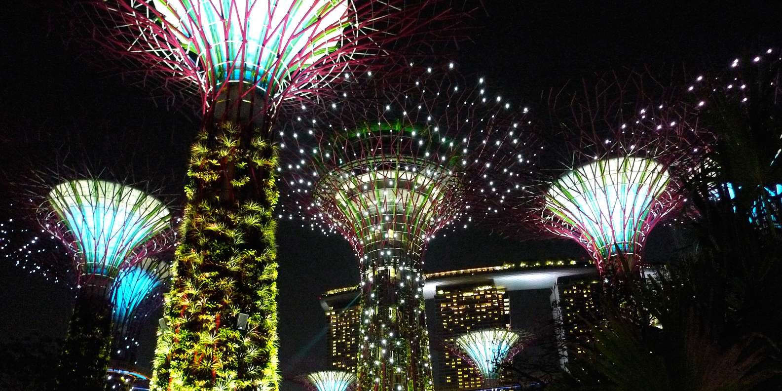 OCBC Garden Rhapsody, Singapur - Bilet ve Tur Rezervasyonu | GetYourGuide