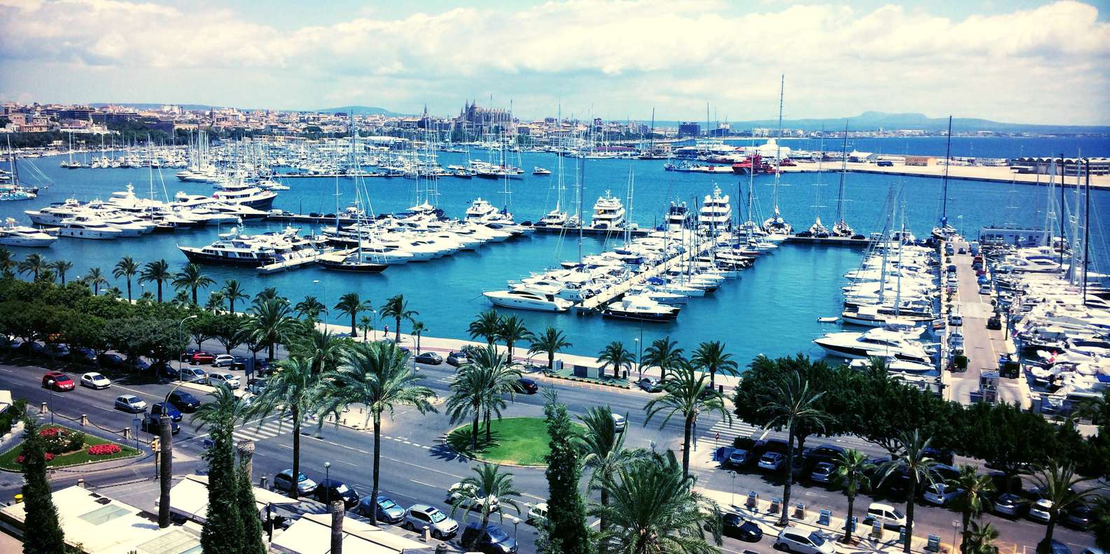 The BEST Paseo Maritimo, Palma de Mallorca Safaris & wildlife ...