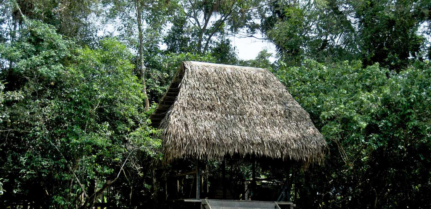 The BEST Sucumbíos Province National parks 2024 - FREE Cancellation ...