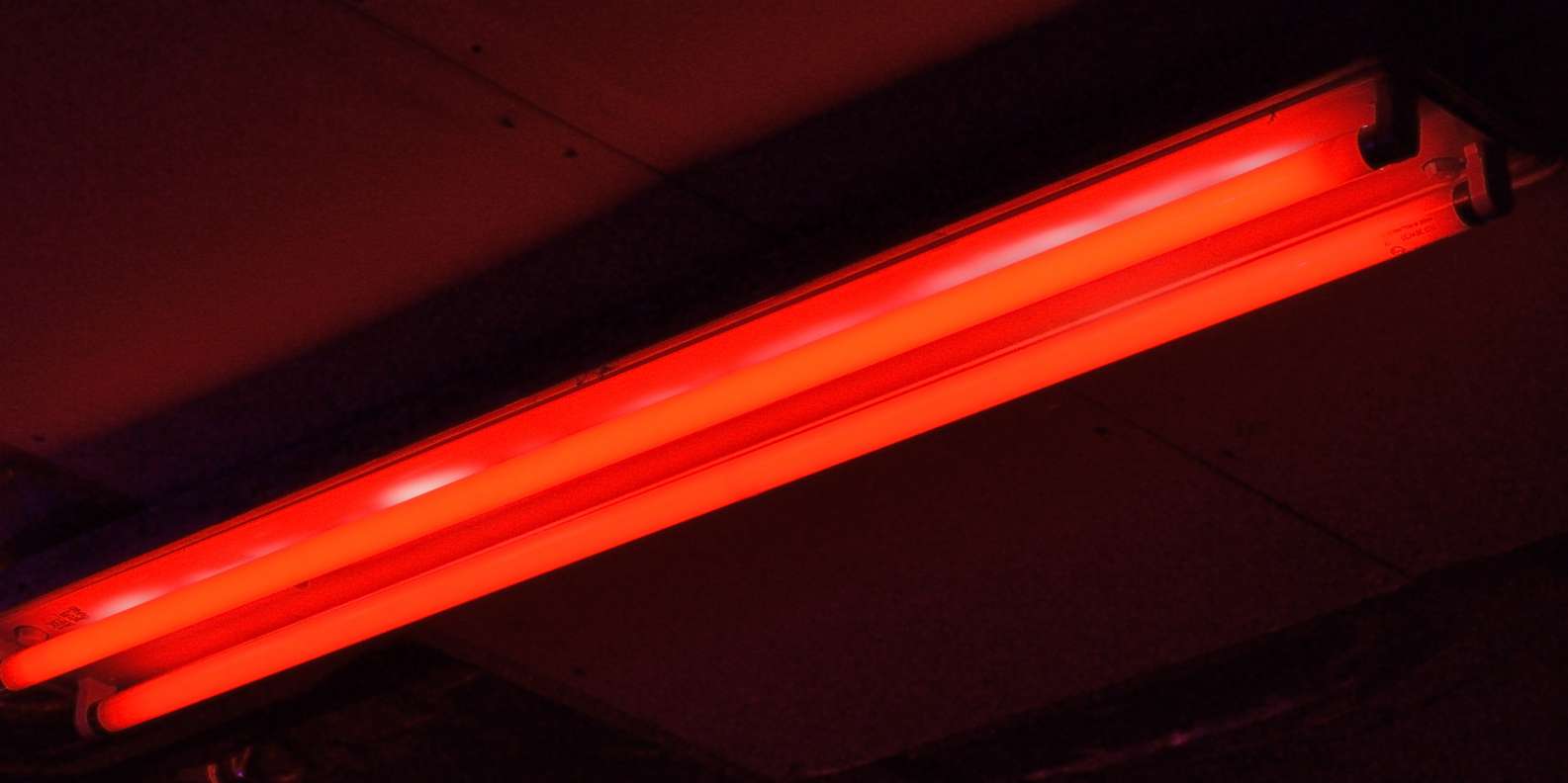 The BEST Brussels Red Light District Sightseeing 2025 - FREE ...