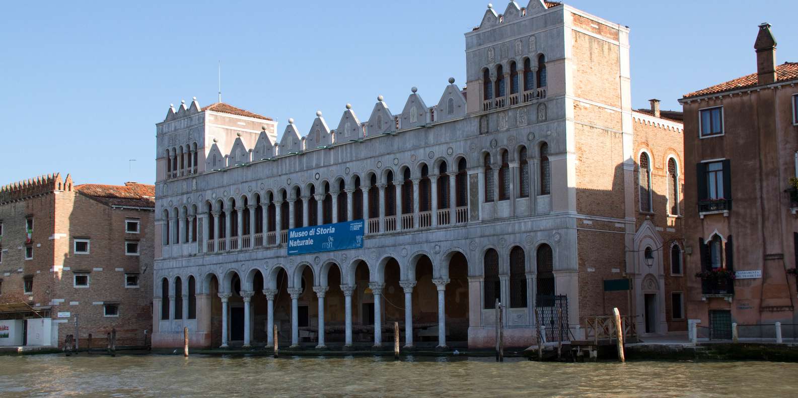 The BEST Natural History Museum, Venice Sightseeing 2023 - FREE ...