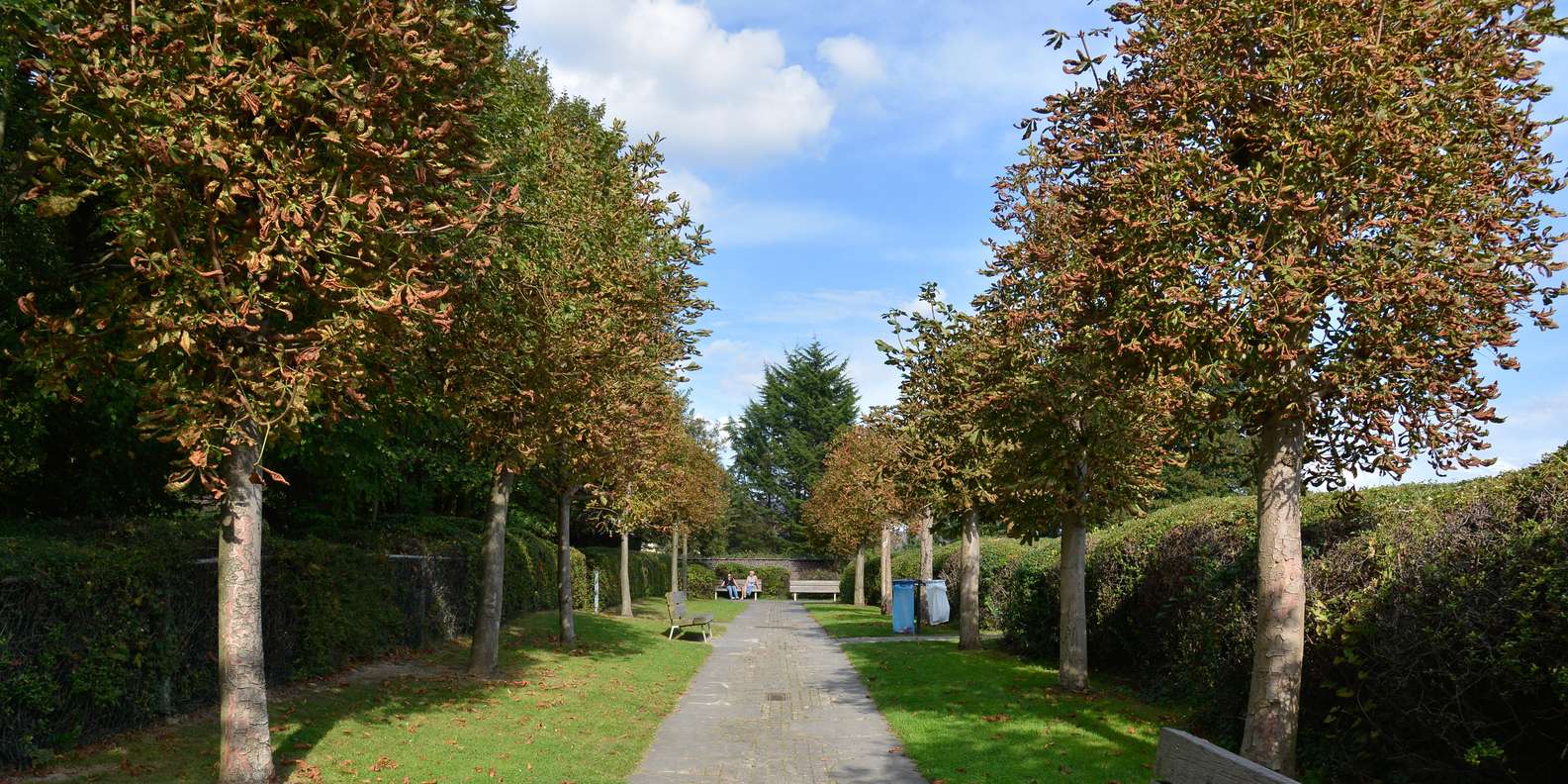 Parc de Woluwe, Bruselas - Reserva de entradas y tours | GetYourGuide