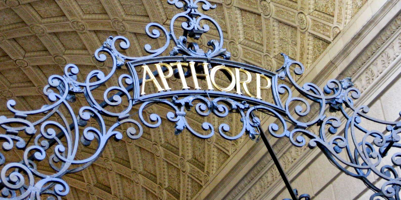 The Apthorp Actividades para días de lluvia: lo MEJOR de 2024 ...