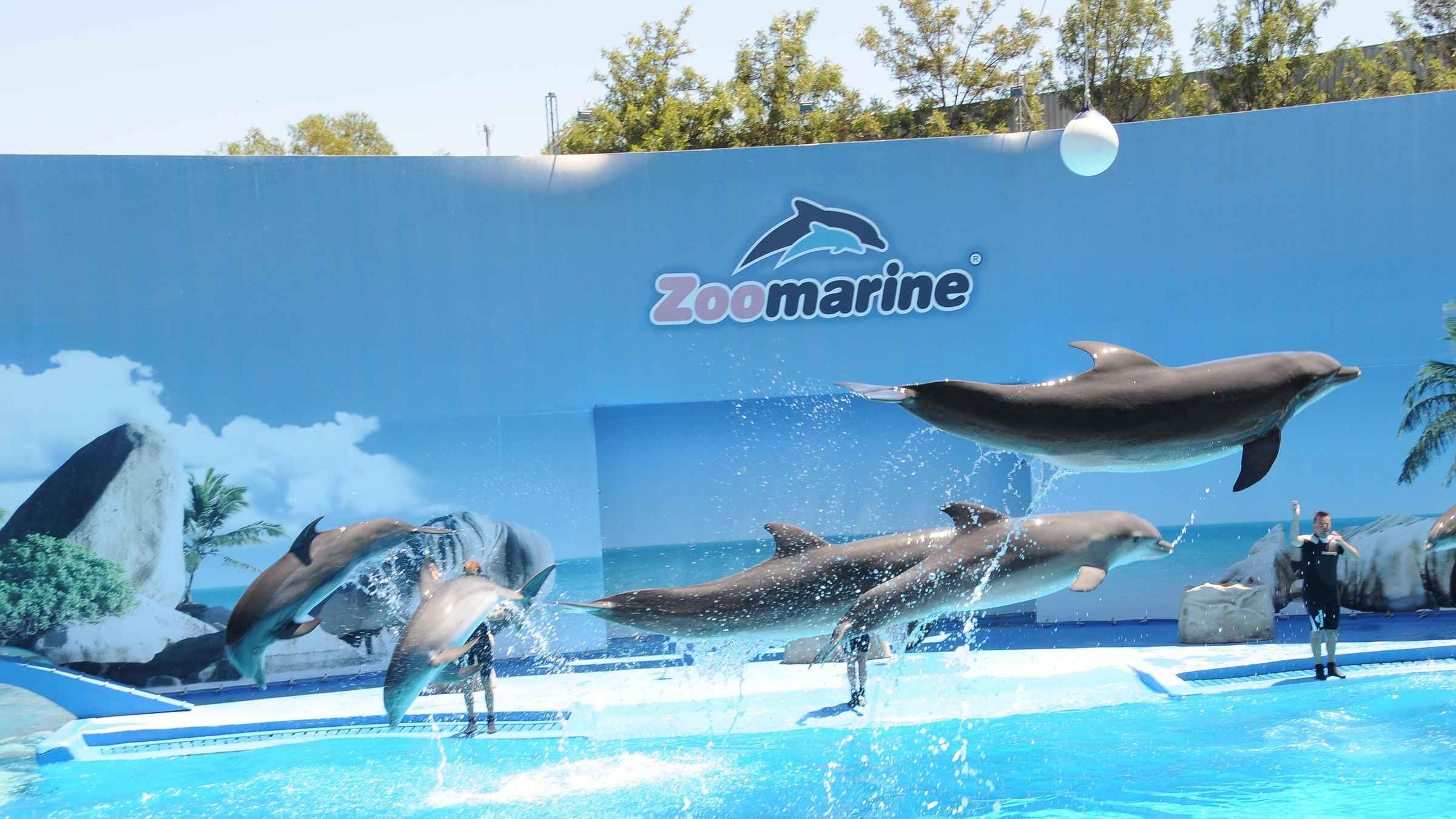 Zoomarine, Guia Accesible con silla de ruedas | GetYourGuide