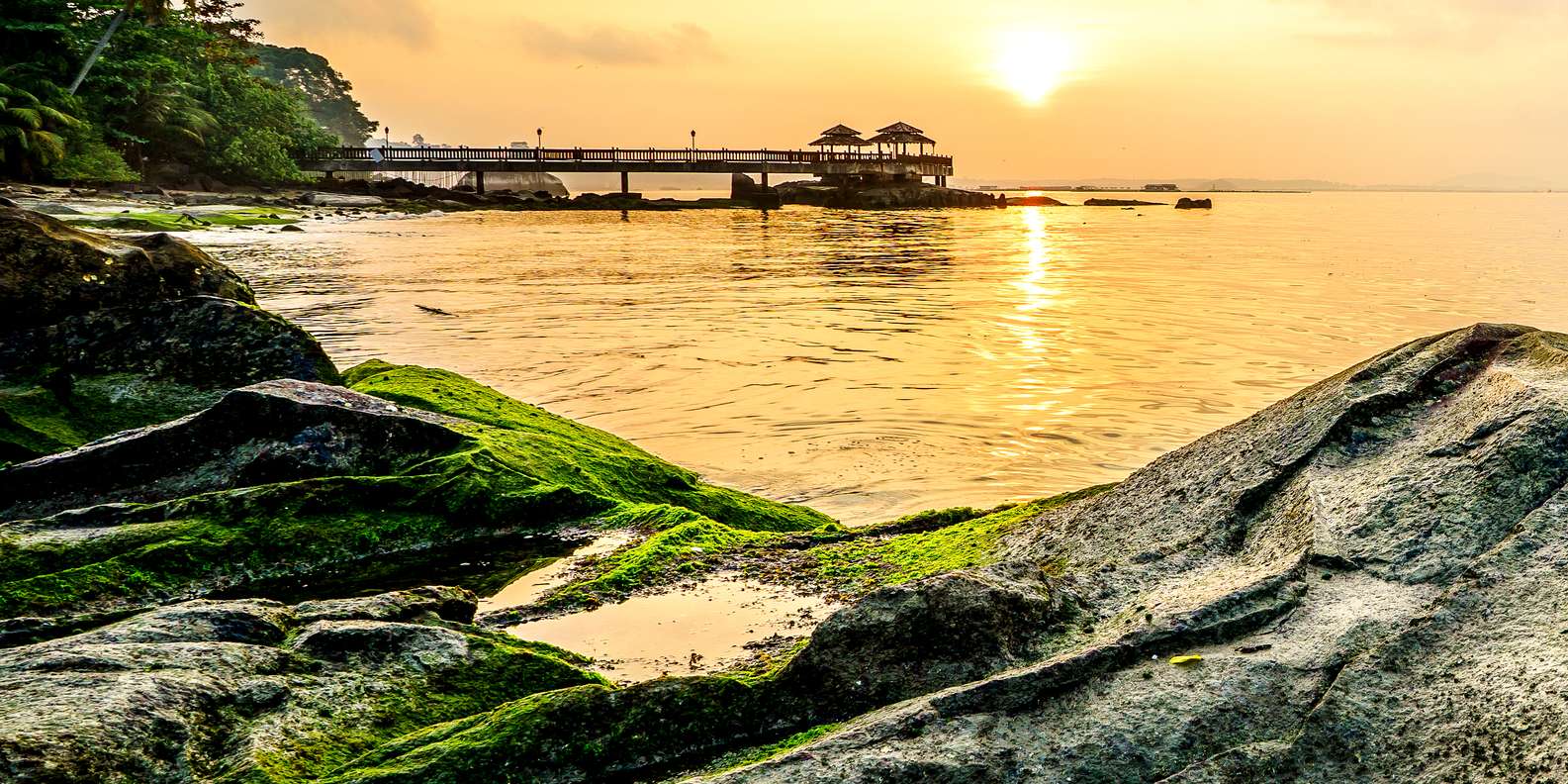 The BEST Pulau Ubin Tours 2023 - FREE Cancellation | GetYourGuide