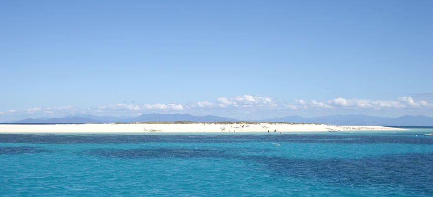 Michaelmas Cay, Cairns - Book Tickets & Tours | GetYourGuide