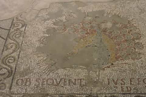 Krypta von Santa Reparata, Florenz - Tickets & Eintrittskarten ...