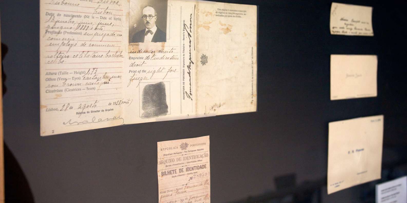 Casa Fernando Pessoa Actividades al aire libre: lo MEJOR de 2023 ...