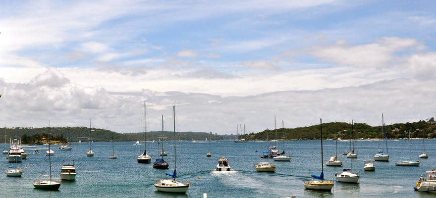 The BEST Rose Bay Tours and Things to Do in 2024 - FREE Cancellation ...