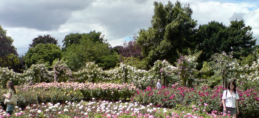 Queen Mary's Rose Gardens, London - Book Tickets & Tours | GetYourGuide