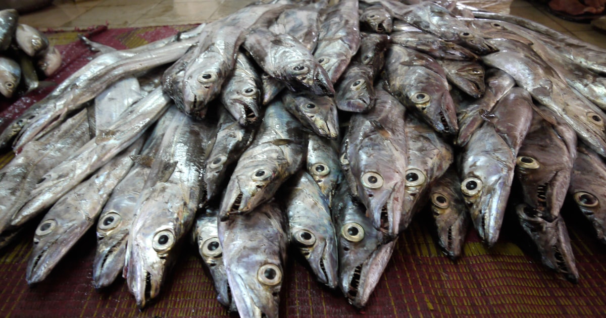 Old Mutrah Fish Market, Muscat - Book Tickets & Tours | GetYourGuide.com