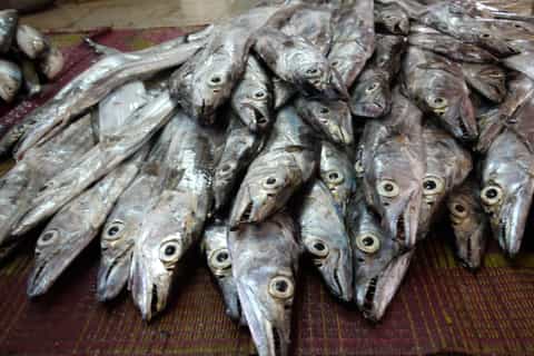 The BEST Muscat Tours and Things to Do in 2024 - FREE Cancellation ...