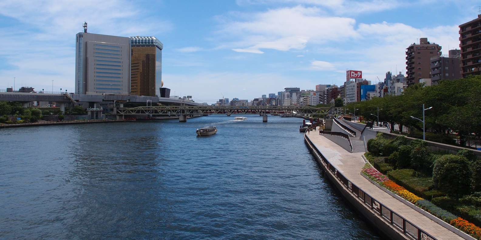 The BEST Sumida River Cruises & boat tours 2023 - FREE Cancellation ...