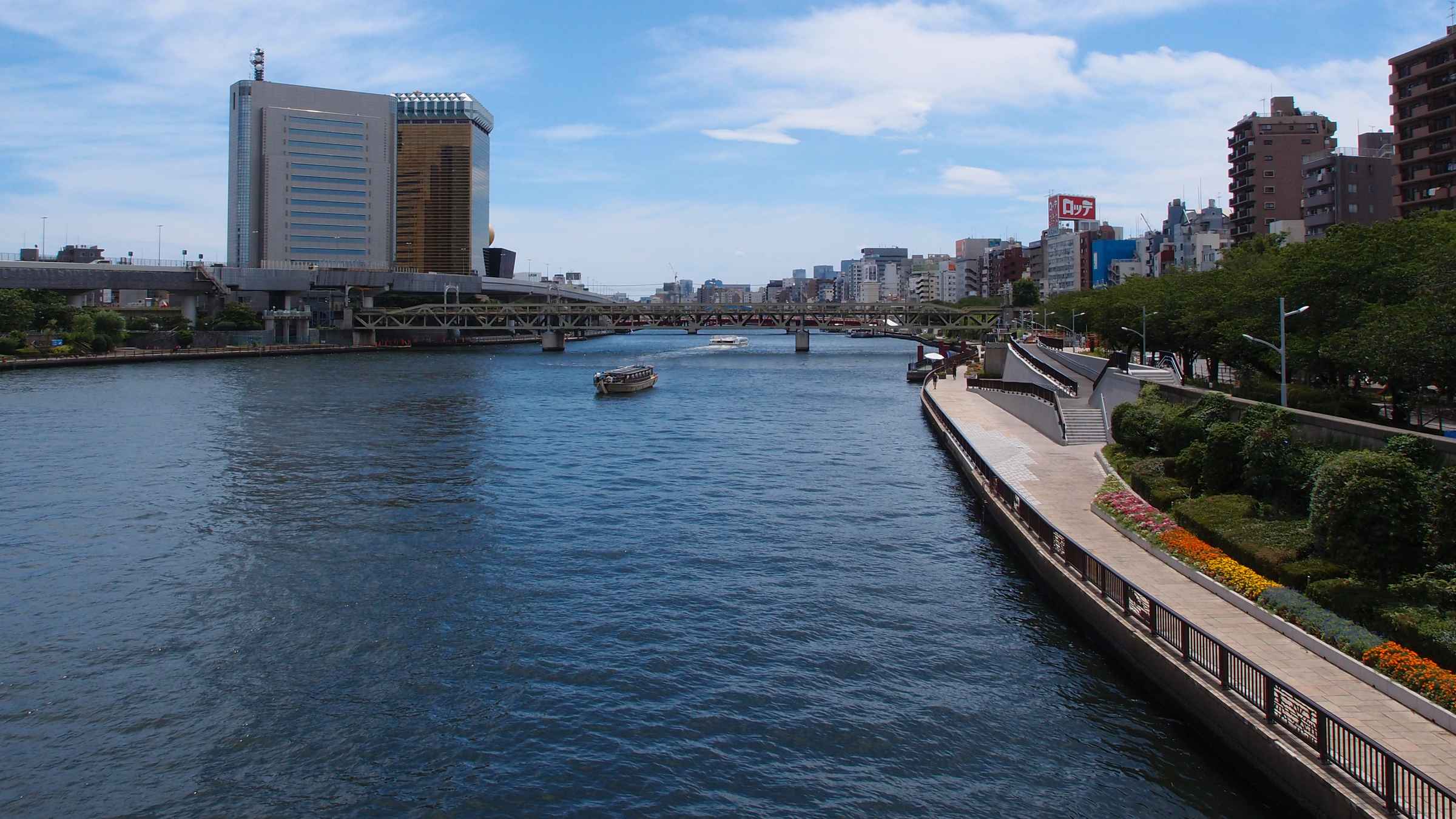 Sumida River Nature & Adventure | GetYourGuide