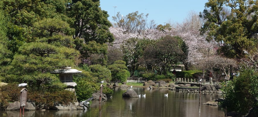 Parque Sumida, Tokio - Reserva de entradas y tours | GetYourGuide