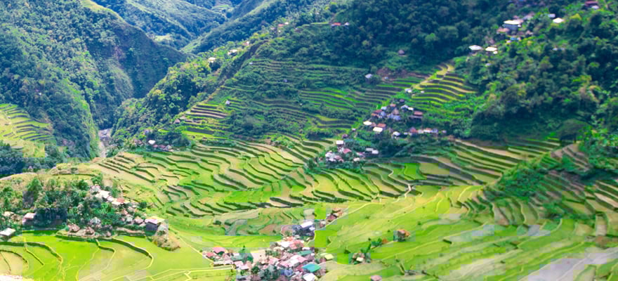 The BEST Philippines Spring activities 2024 - FREE Cancellation ...