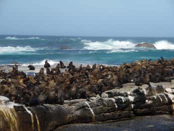 The BEST Western Cape Tours and Things to Do in 2022 - FREE ...