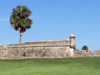 Conch Island, San Agustín, Florida - Reserva de entradas y tours ...