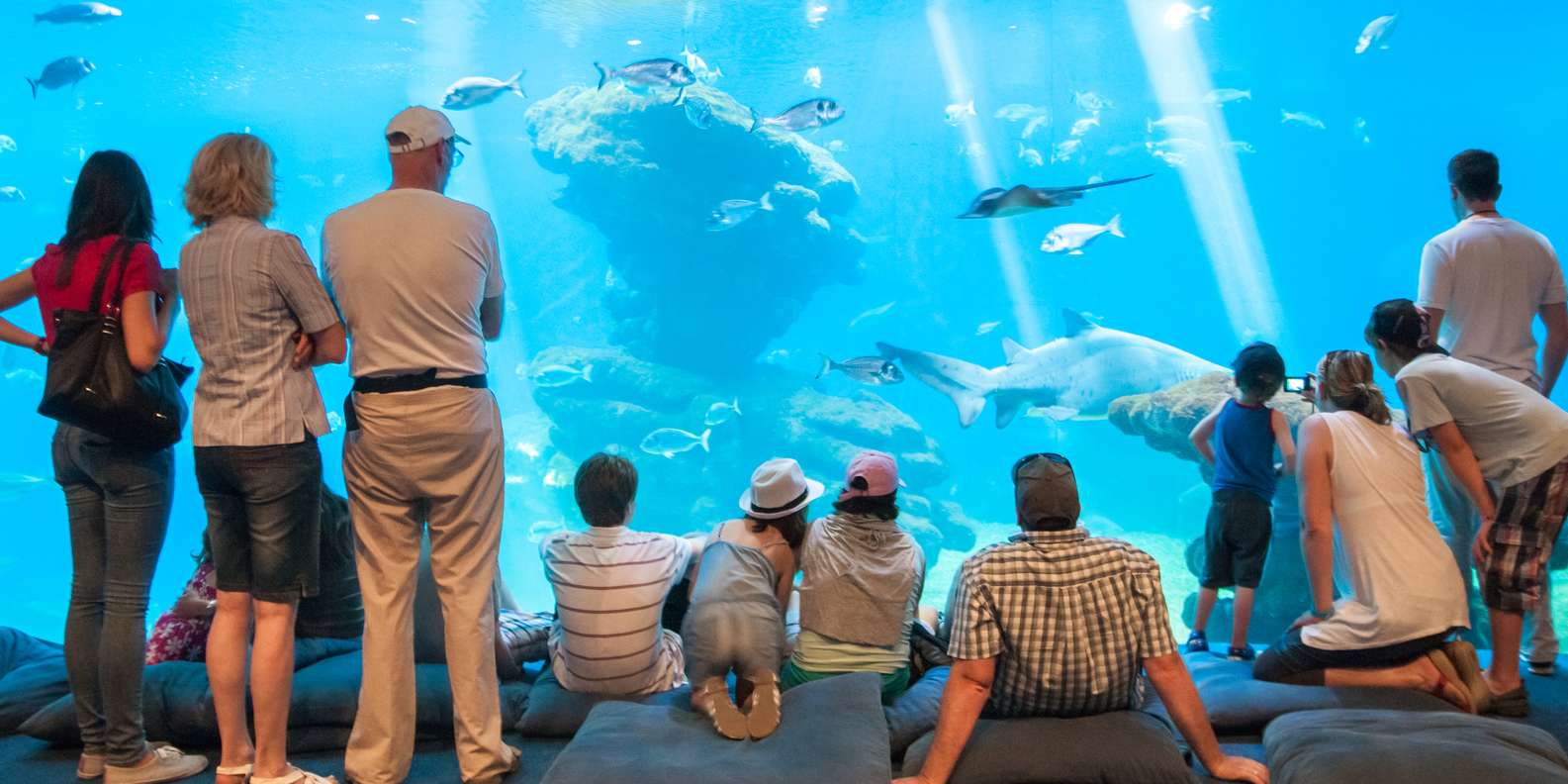The BEST Palma Aquarium Entry tickets 2023 - FREE Cancellation ...