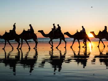 The Berry Farm, Western Australia - Book Tickets & Tours | GetYourGuide