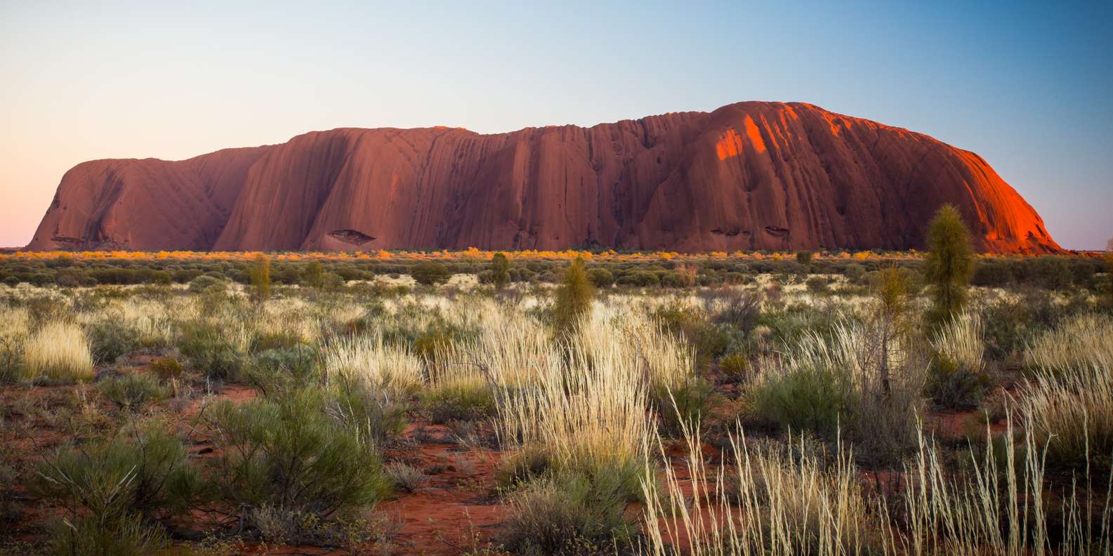 The BEST Uluru Sightseeing on wheels 2023 - FREE Cancellation ...