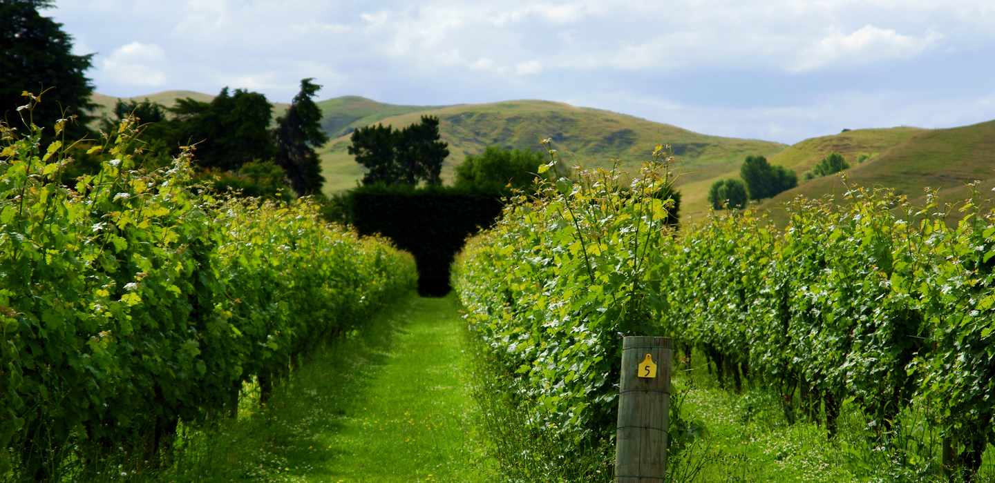 The BEST Hawke's Bay Summer activities 2023 - FREE Cancellation ...