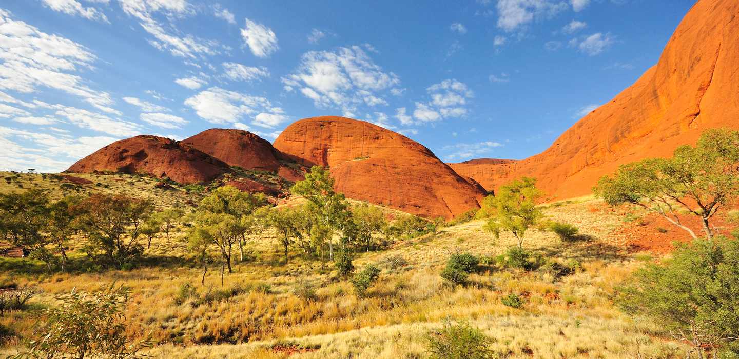 Alice Springs Tour guidati: il MEGLIO del 2024 - Cancellazione GRATUITA ...