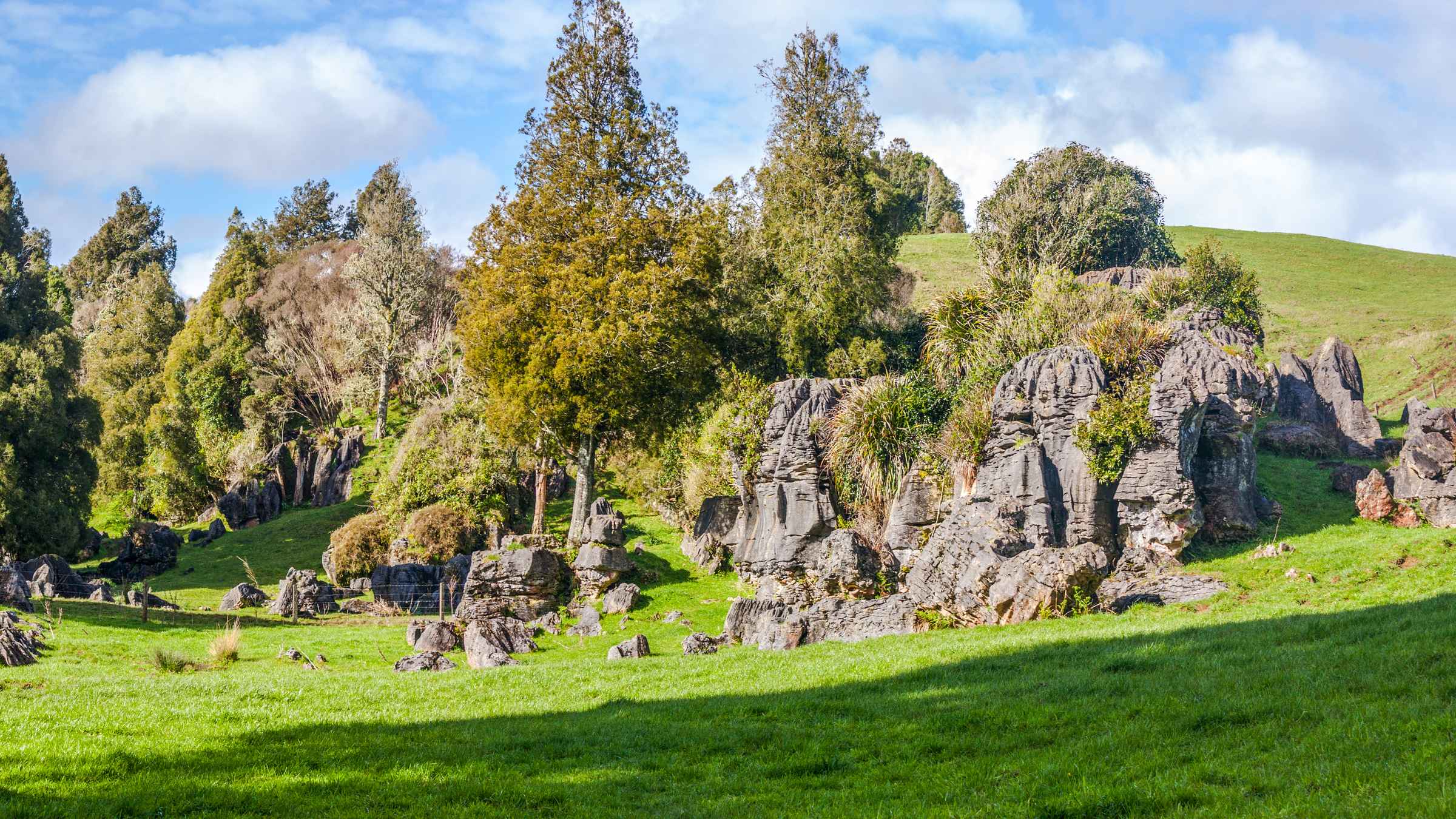 The BEST Waitomo Activities 2022 - FREE Cancellation | GetYourGuide
