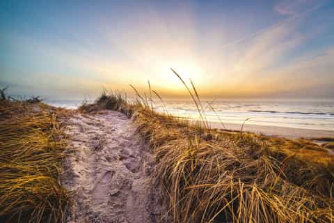 The BEST Denmark Communist history 2024 - FREE Cancellation | GetYourGuide