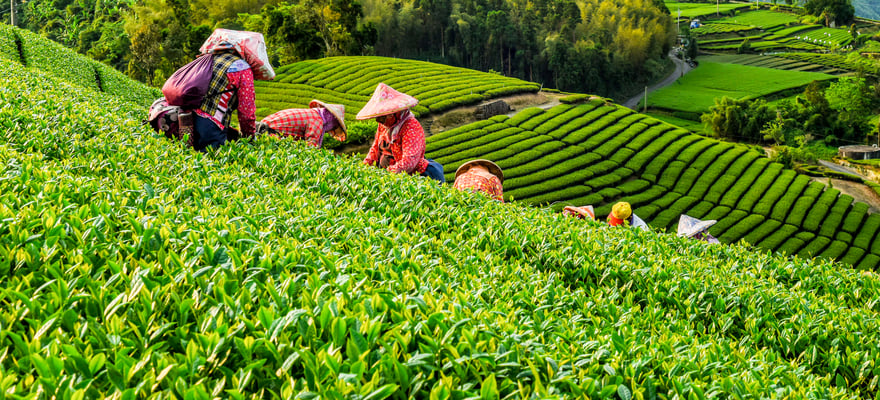 The BEST Taiwan Summer activities 2024 - FREE Cancellation | GetYourGuide