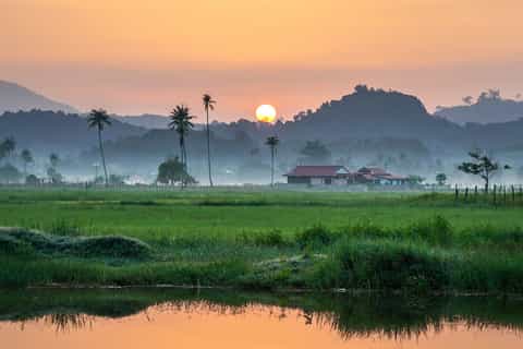 The best Malaysia Bus & minivan tours 2026 - Free cancellation ...