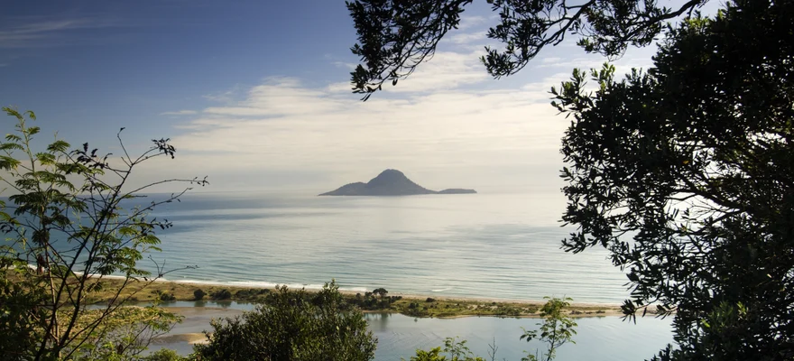 Moutohora Island, Bay of Plenty Region - Book Tickets & Tours ...