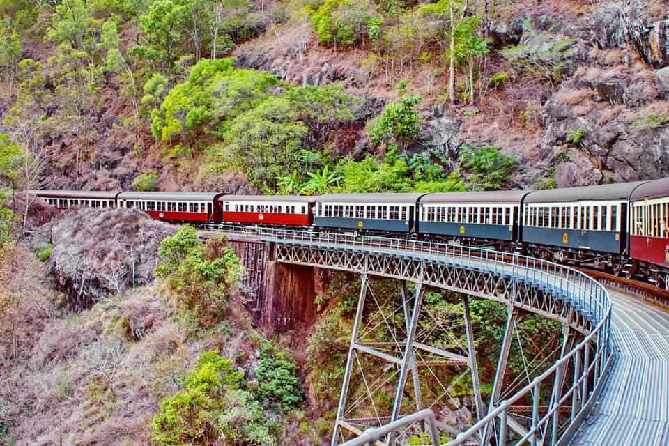KUR-Cow Barnwell Farm, Kuranda - Book Tickets & Tours | GetYourGuide
