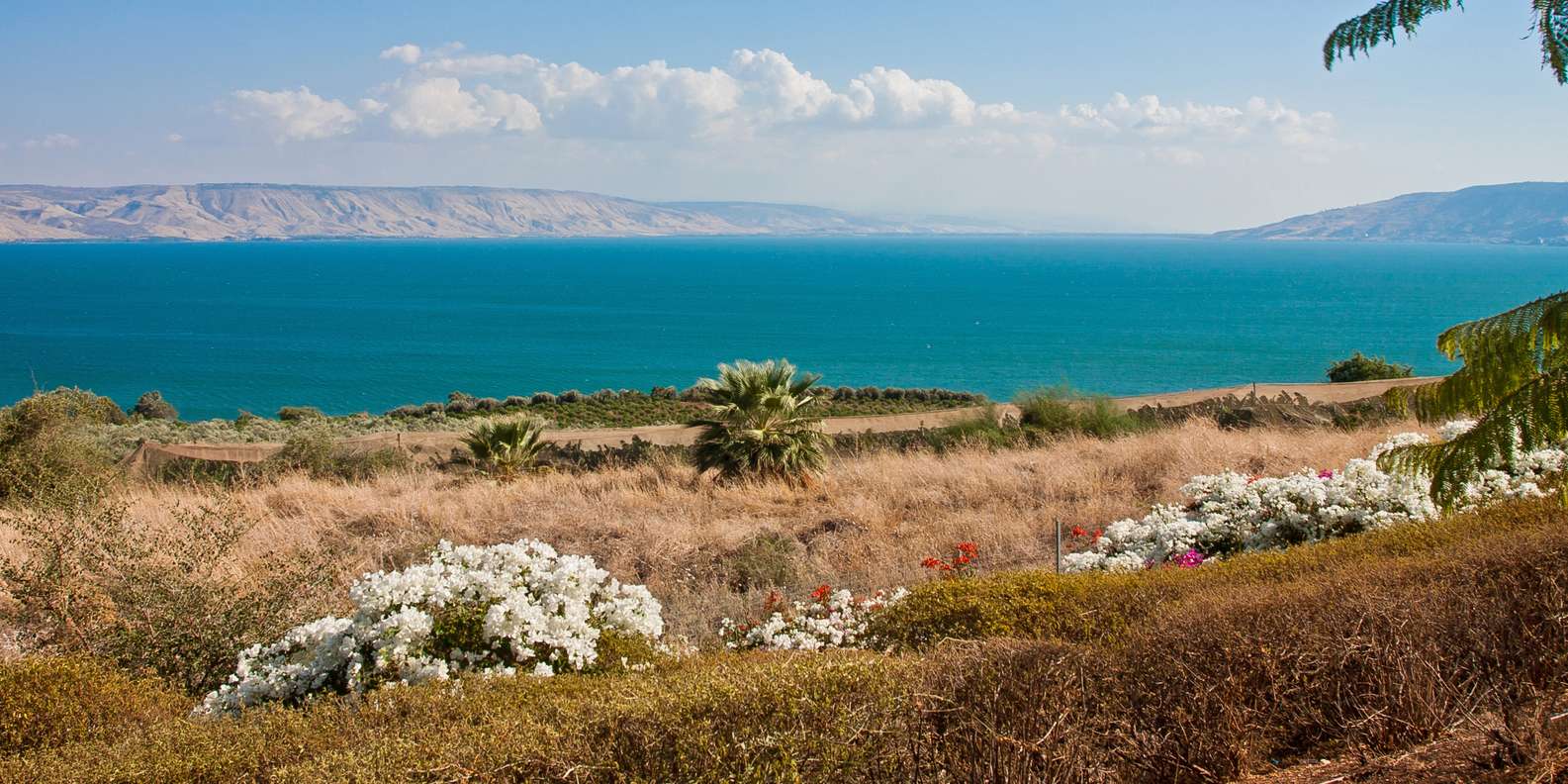 Galilea: NAJLEPSZE wycieczki i atrakcje w 2023 r. – DARMOWA rezygnacja ...