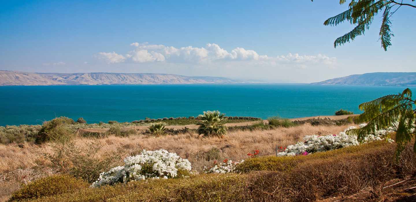 The BEST Sea of Galilee Tours 2023 - FREE Cancellation | GetYourGuide