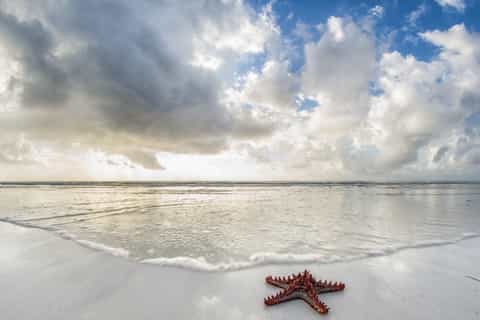 The BEST Mombasa Tours and Excursions in 2026 - FREE Cancellation ...