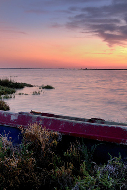Ria Formosa, Parque Natural da Ria Formosa - Book Tickets & Tours ...