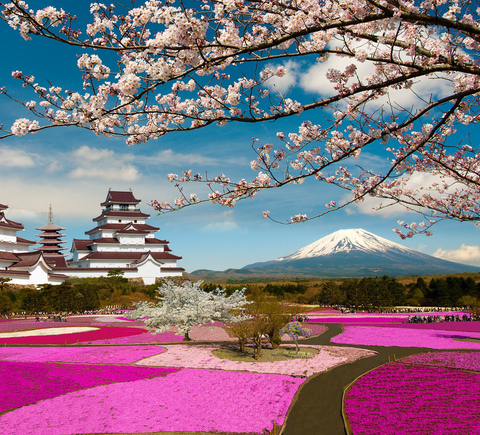 The BEST Chiba Prefecture Tours and Things to Do in 2024 - FREE ...