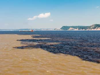 The BEST Amazonas Tours and Things to Do in 2022 - FREE Cancellation ...