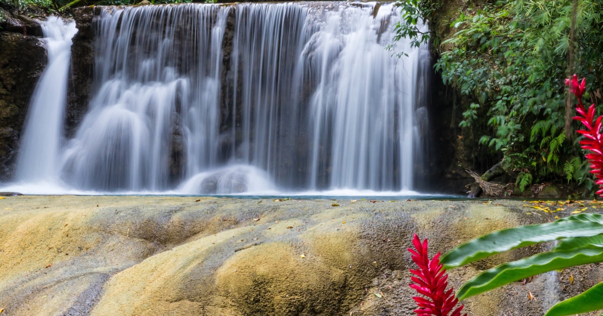 YS Falls, Montego Bay - Book Tickets & Tours | GetYourGuide.com