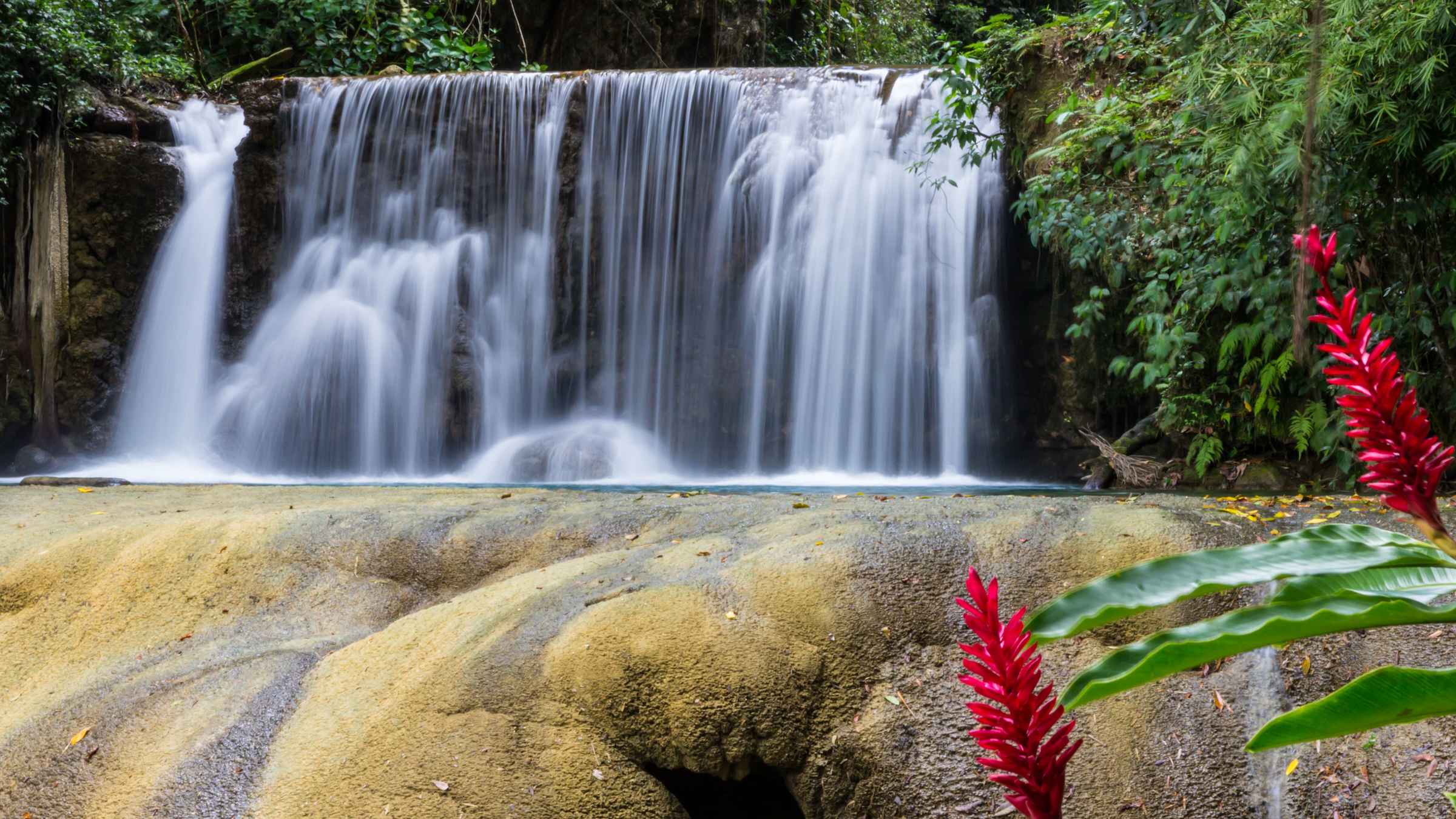 YS Falls, Montego Bay - Book Tickets & Tours | GetYourGuide