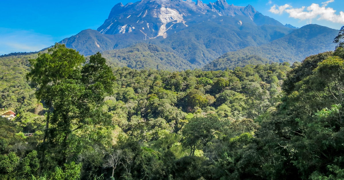 Kinabalu Park, Kota Kinabalu - Book Tickets & Tours | GetYourGuide.com