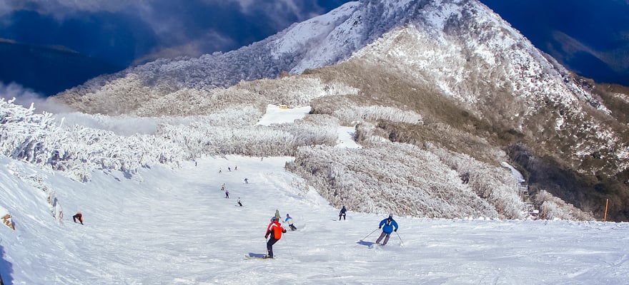 The BEST Mount Buller Tours and Things to Do in 2024 - FREE ...