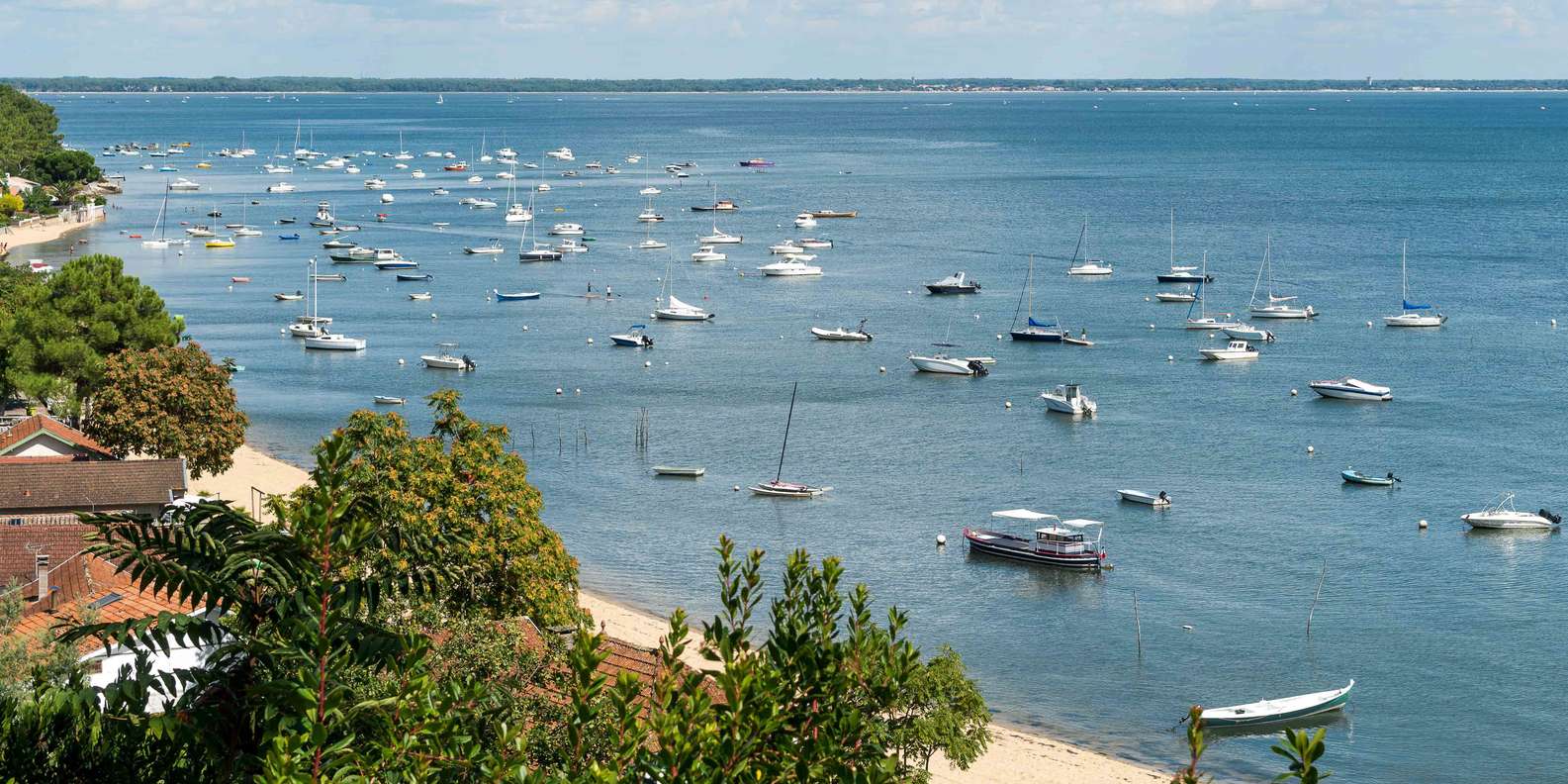 Book Things To Do, Attractions, and Tours | GetYourGuide