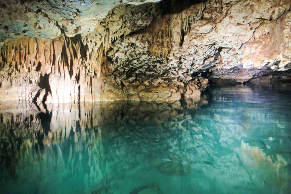 Emotions Native Park tickets - Playa del Carmen - Prenotazione ...