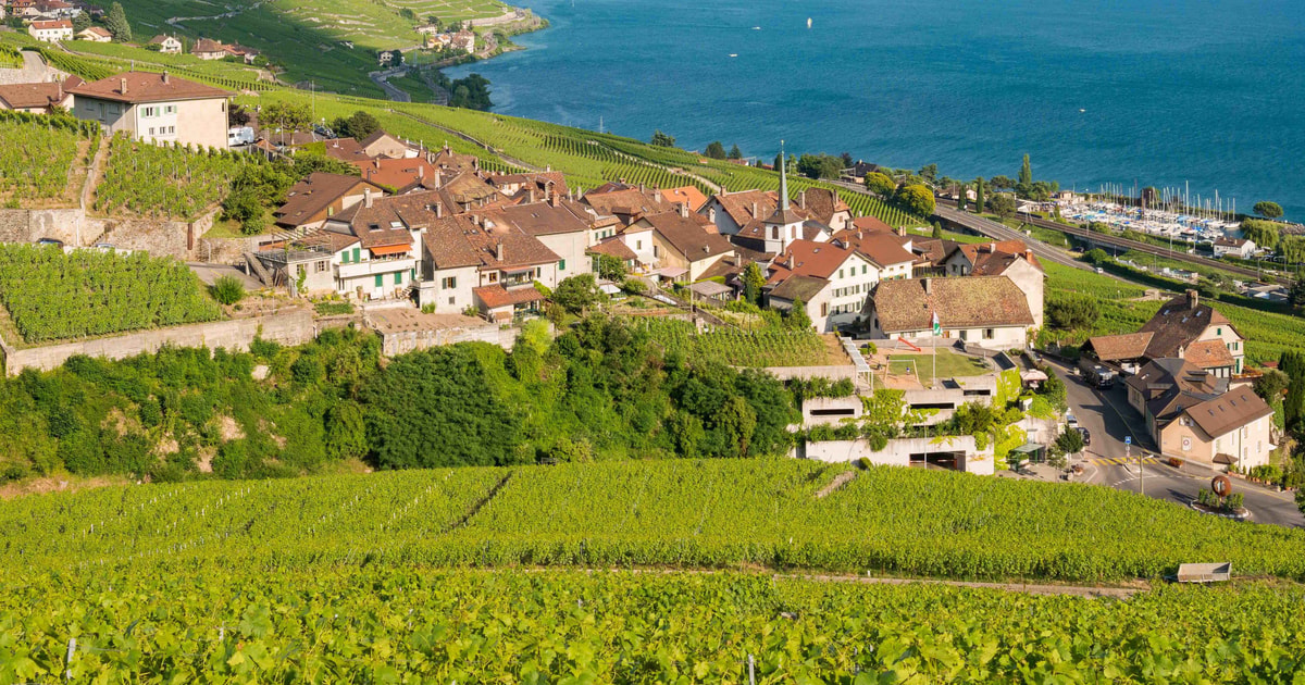 Les Epesses 2020: Top 10 Tours & Activities (with Photos) - Things to ...